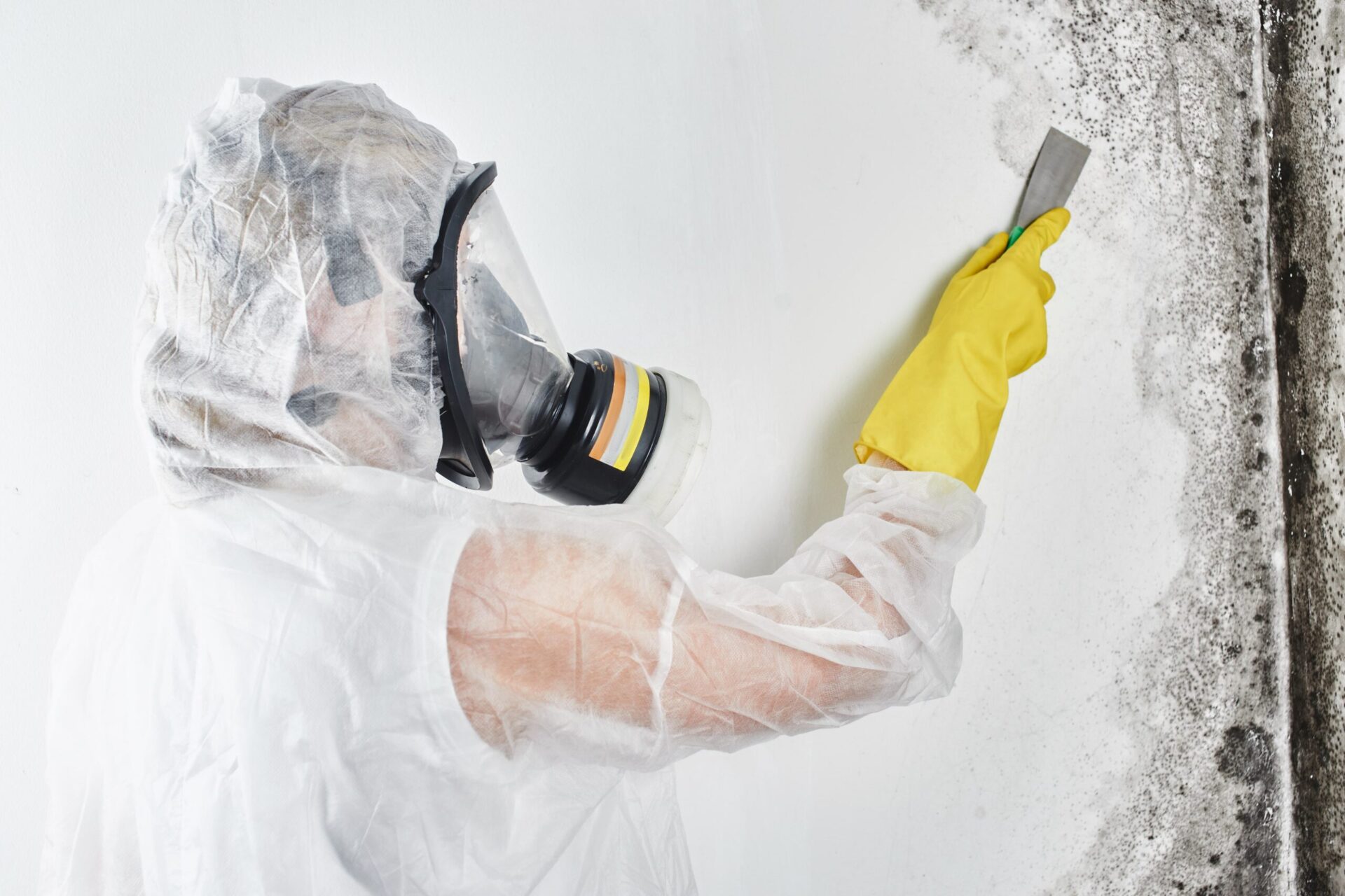 Why Surface Mould Testing Matters for Your Health